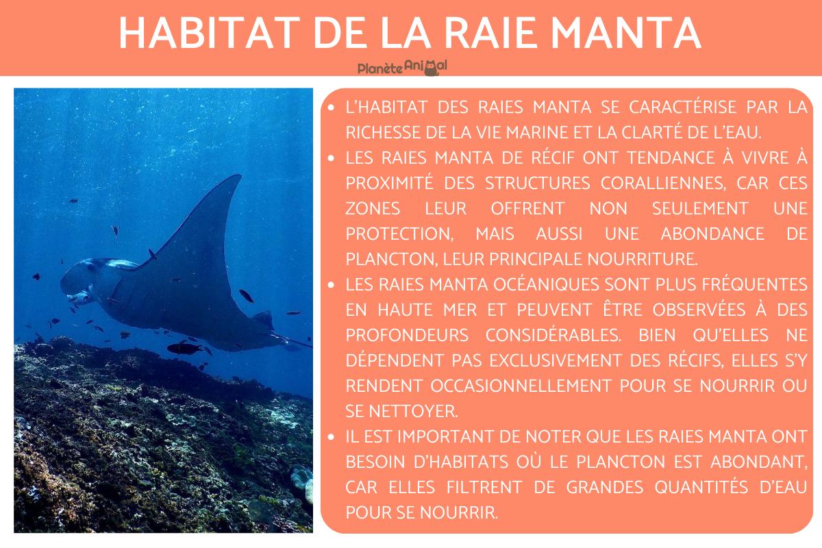 Habitat de la raie manta - Distribution et habitat des raies manta