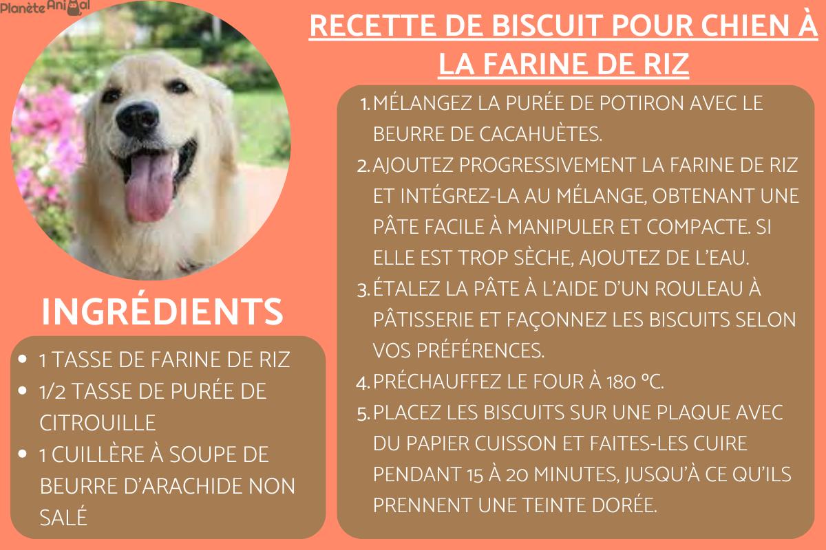 5 RECETTES de BISCUIT pour CHIEN - avec VIDÉOS