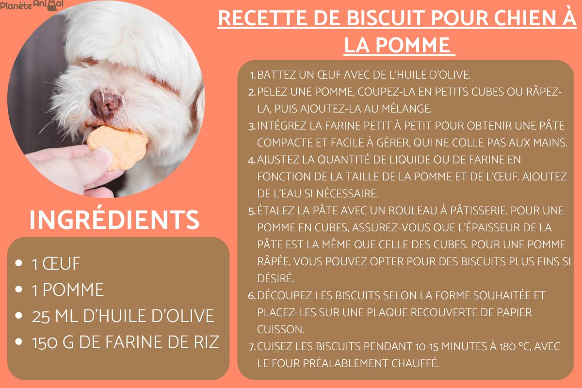 5 RECETTES de BISCUIT pour CHIEN - avec VIDÉOS