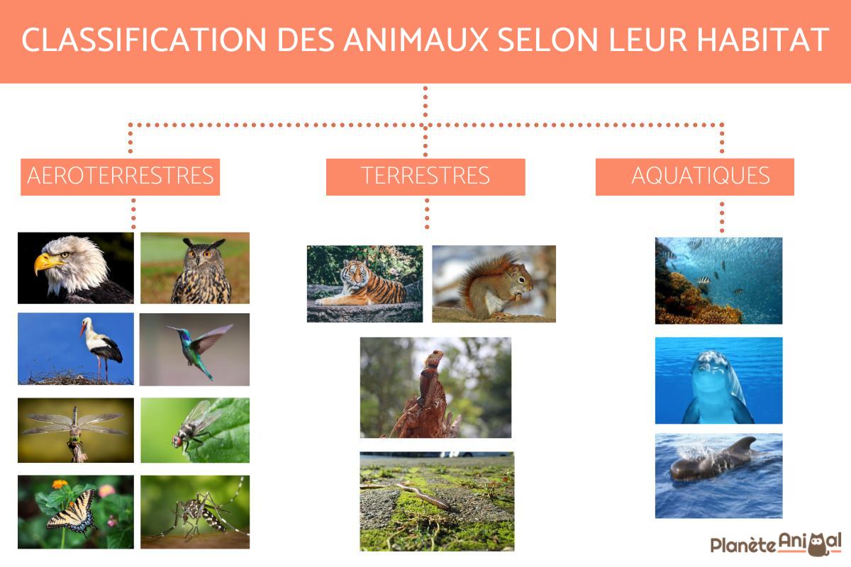 La classification des animaux selon leur habitat