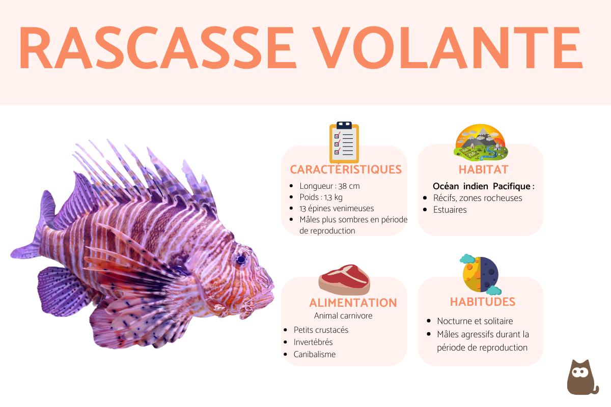 Rascasse volante (Pterois volitans) - Caractéristiques et Statut de ...